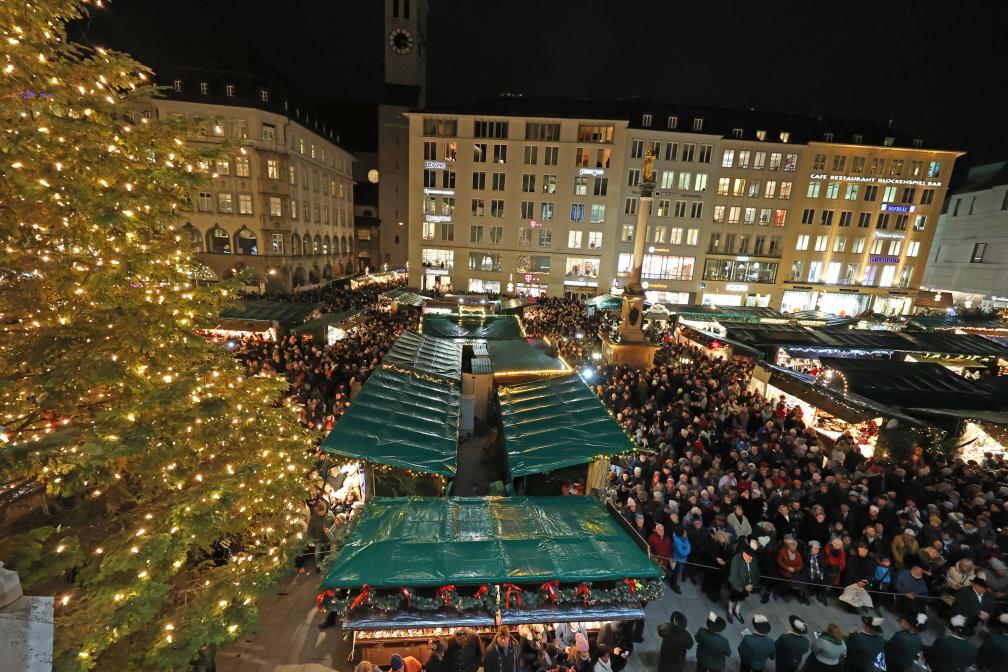 Münchner Christbaum am Marienplatz: Alle Infos zum neuen Baum ...