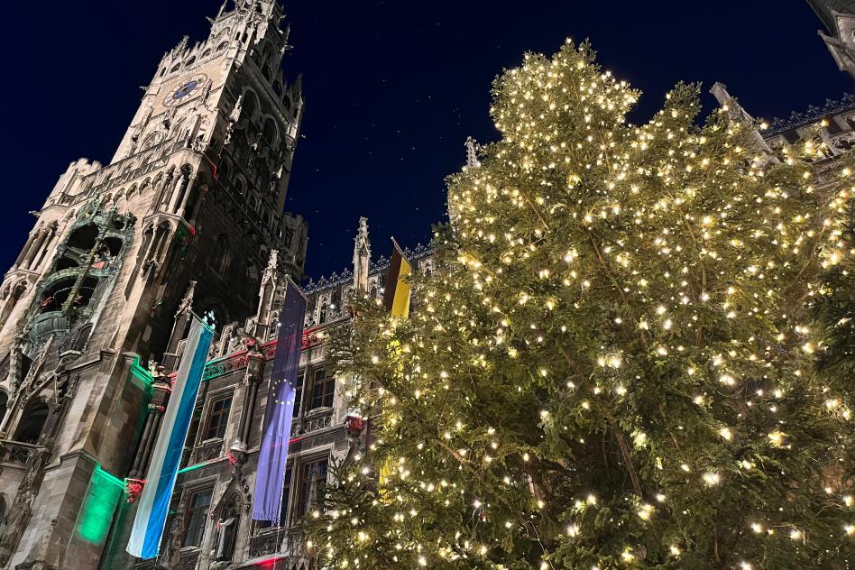 Münchner Christbaum am Marienplatz: Alle Infos zum neuen Baum ...
