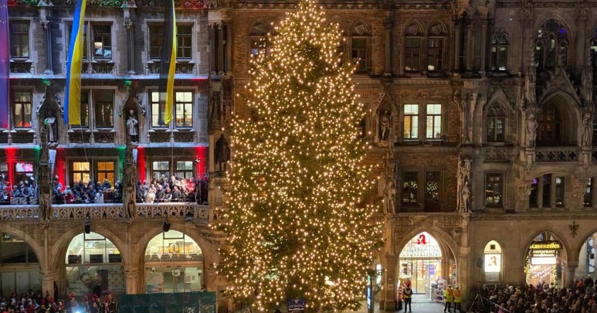 Münchner Christbaum am Marienplatz: Alle Infos zum neuen Baum ...